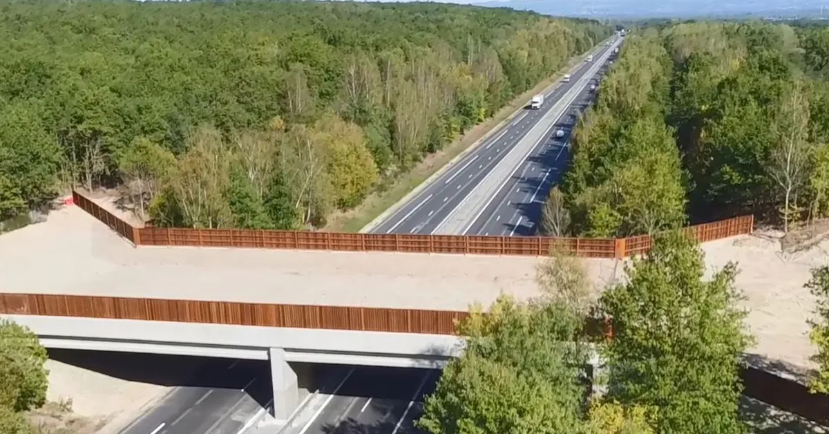 Autoroute A72 : services sur aires de repos et de carburant