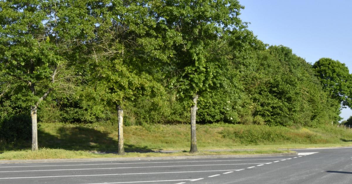 Remouillé Est - Autoroute A83 | VINCI Autoroutes