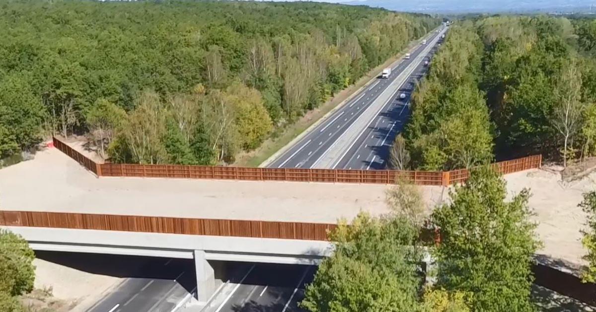 Autoroute A72 | VINCI Autoroutes